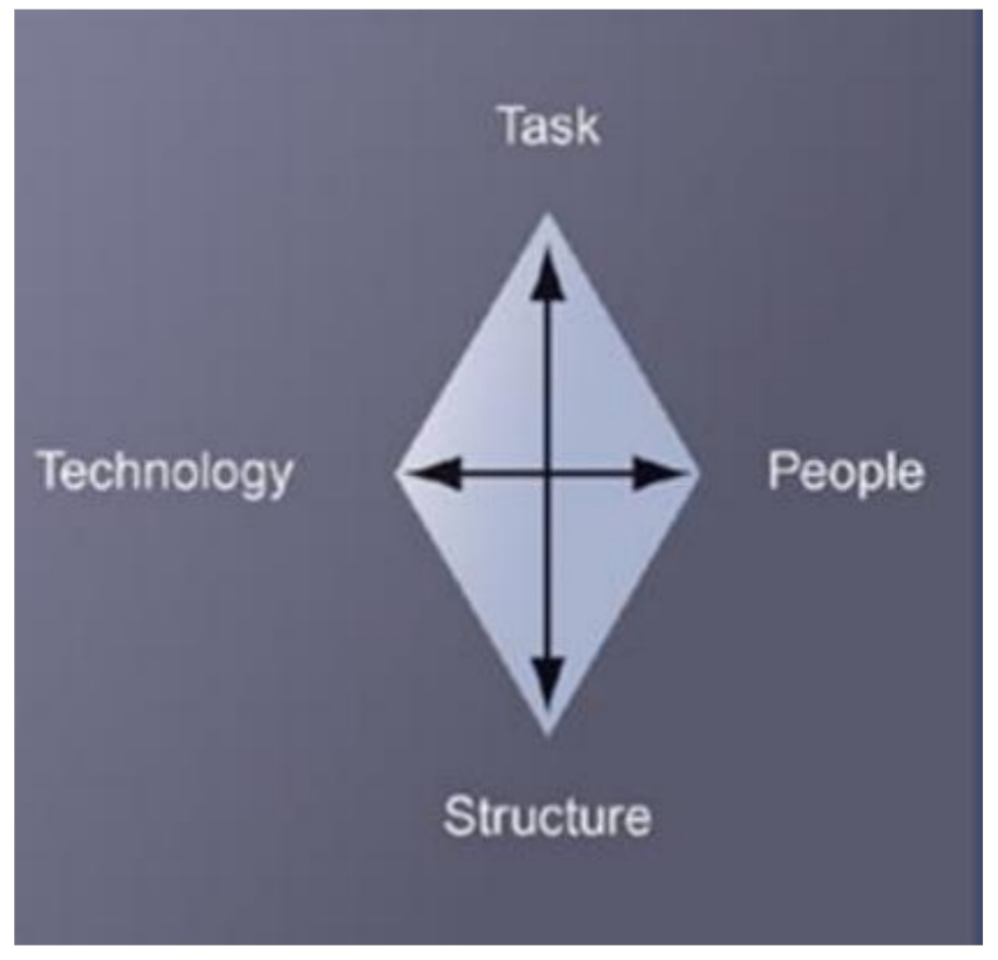 Leavitt’s Model of IT implementation in Firms – Business Frontiers
